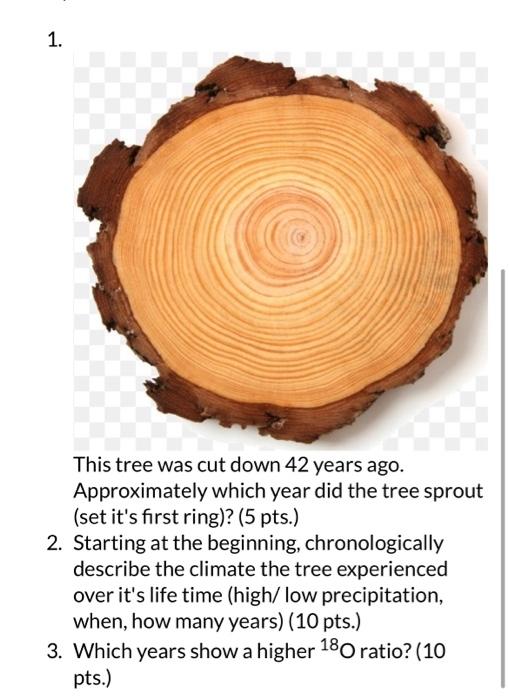 This tree was cut down 42 years ago. Approximately | Chegg.com