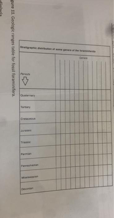 Solved Normal fault Reverse fault Strike-slip fault | Chegg.com