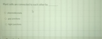 Solved Plant cells are connected to each other | Chegg.com