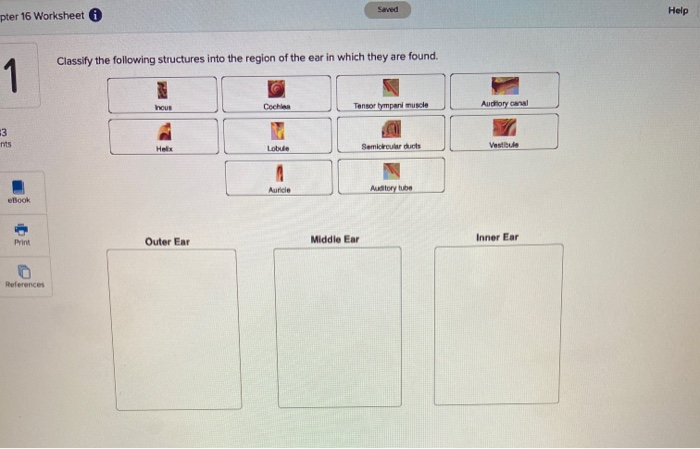 Solved Saved Help pter 16 Worksheet 6 Classify the following | Chegg.com Solved Saved Help pter 16 Worksheet 6 Classify the following | Chegg.com
