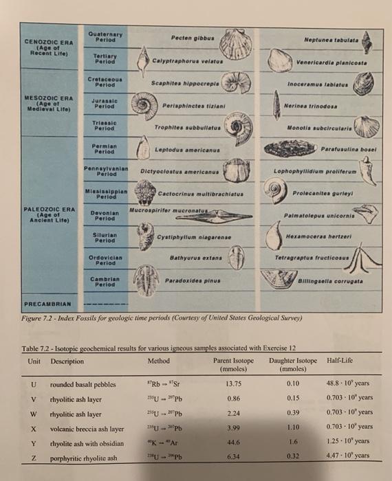 Solved The use of index fossils is advantageous when | Chegg.com