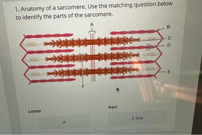 Solved one in between that is called the intermediate layer. | Chegg.com