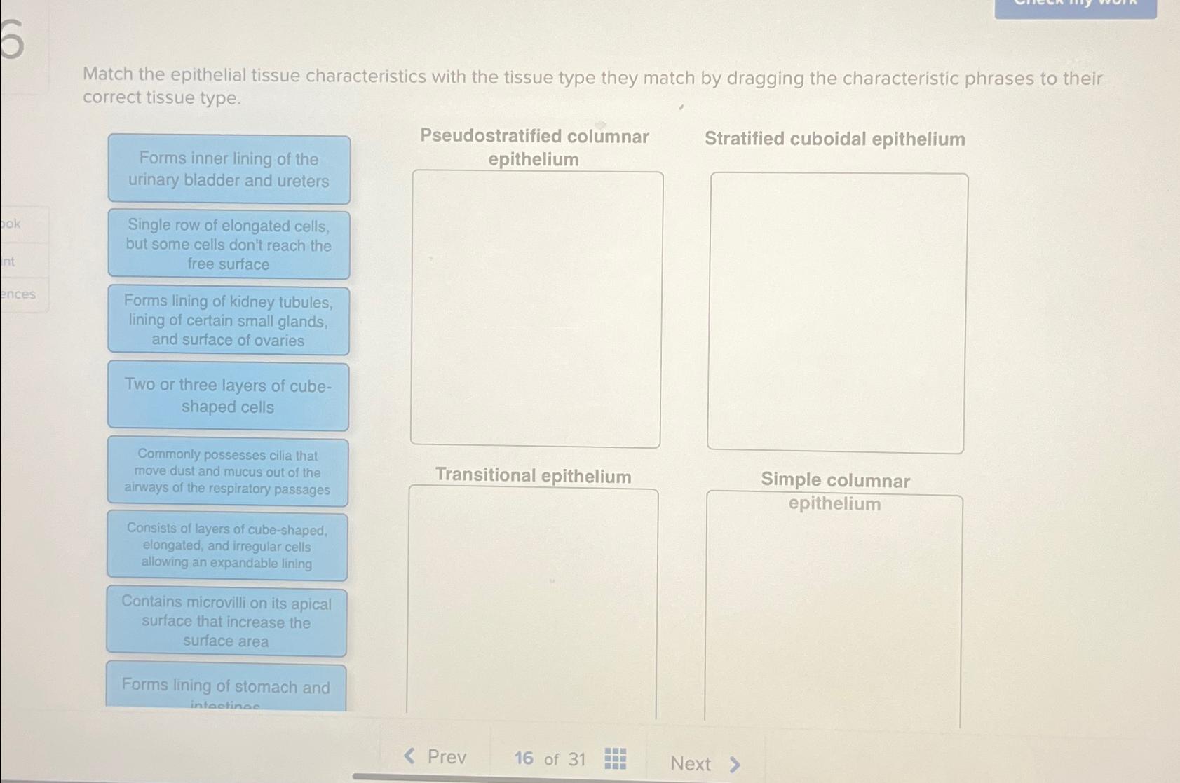 Solved Match the epithelial tissue characteristics with the | Chegg.com