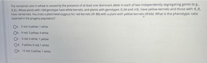 Solved The red kernel color in wheat is caused by the | Chegg.com