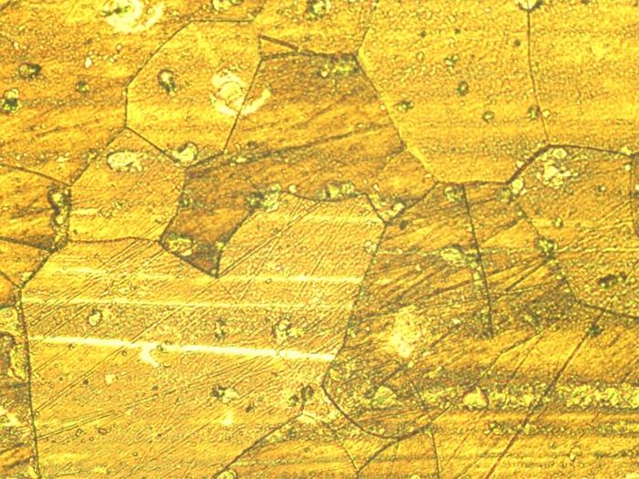 Solved By comparing the various micrographs uploaded , | Chegg.com