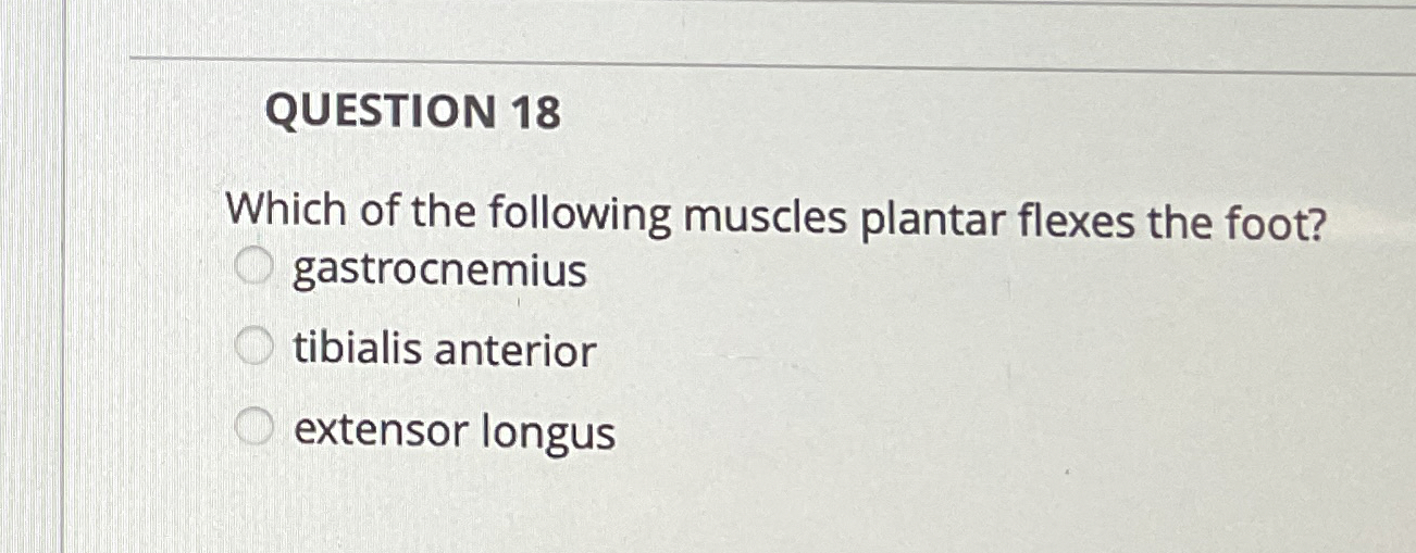 Solved QUESTION 18Which of the following muscles plantar | Chegg.com Solved QUESTION 18Which of the following muscles plantar | Chegg.com