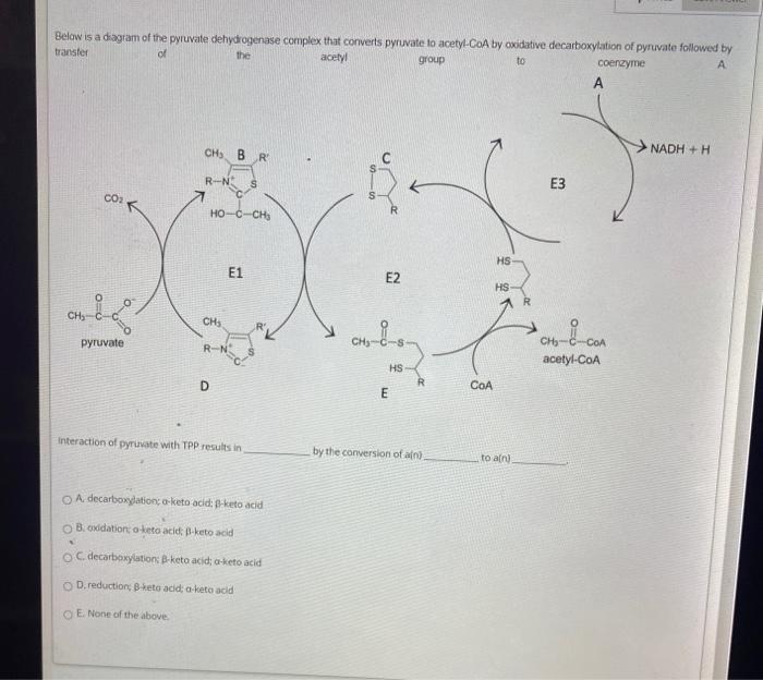 Solved to Below is a diagram of the pyruvate dehydrogenase | Chegg.com