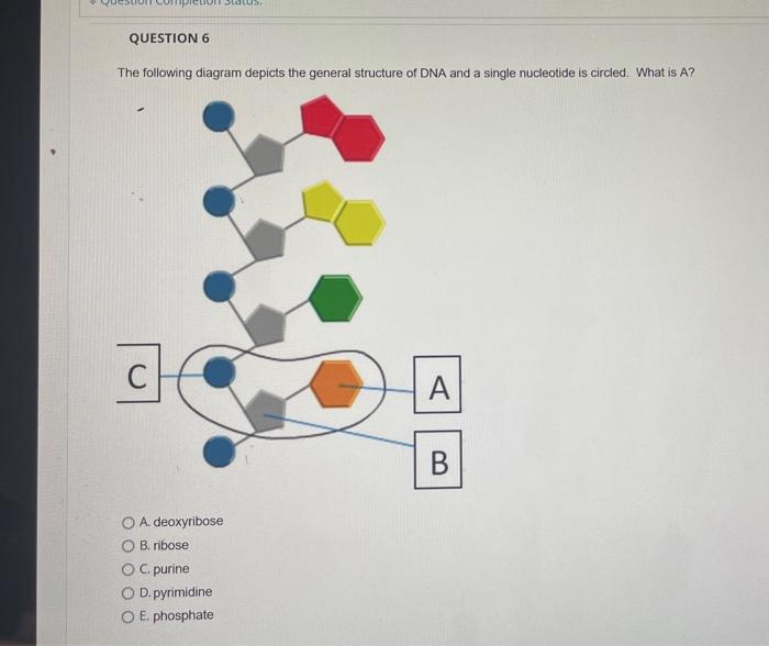 Solved The following diagram depicts the general structure | Chegg.com