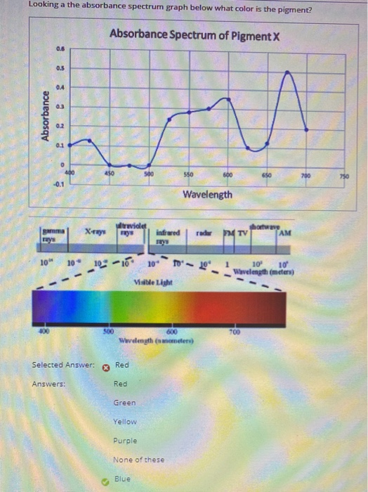 Solved Looking a the absorbance spectrum graph below what | Chegg.com