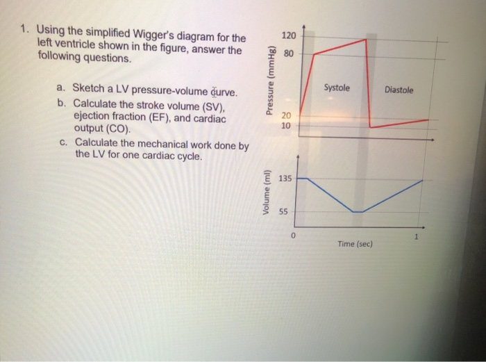 Solved 120 1. Using the simplified Wigger's diagram for the | Chegg.com