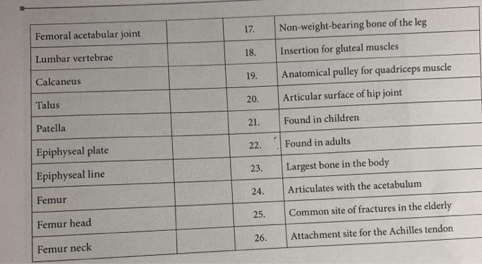 Solved LOWER EXTR Structure Number Ilium 1 Pubis 2. 5 14 | Chegg.com