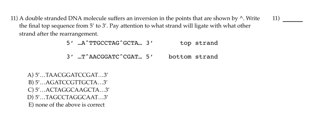 Solved A double stranded DNA molecule suffers an inversion | Chegg.com