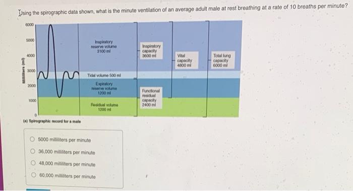Solved Using the spirographic data shown, what is the minute | Chegg.com