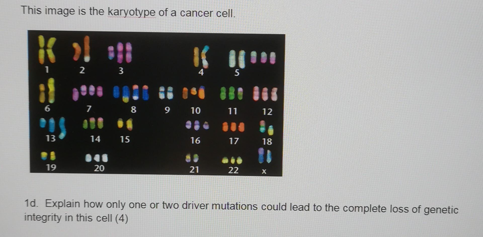 Solved This image is the karyotype of a cancer cell. 1d. | Chegg.com