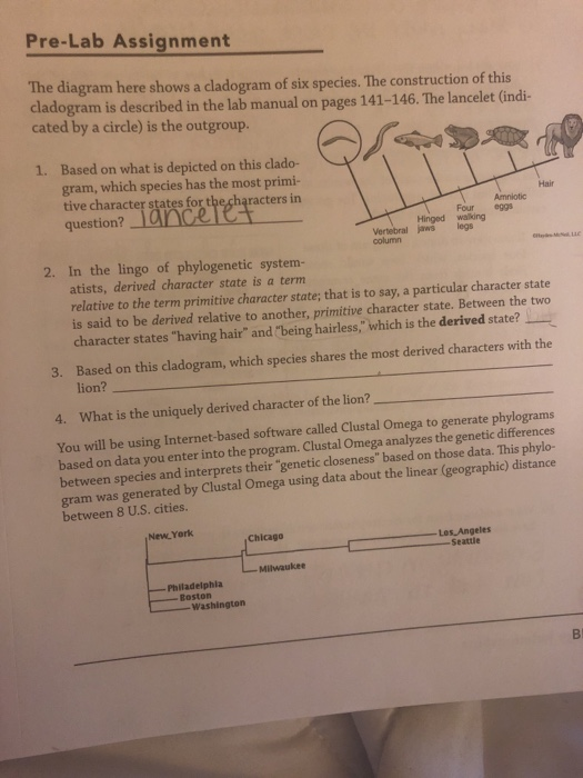 Solved Pre-Lab Assignment The diagram here shows a cladogram | Chegg.com Solved Pre-Lab Assignment The diagram here shows a cladogram | Chegg.com