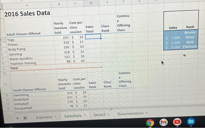 Solved Select Sheet2, and rename the sheet SalesData. The | Chegg.com