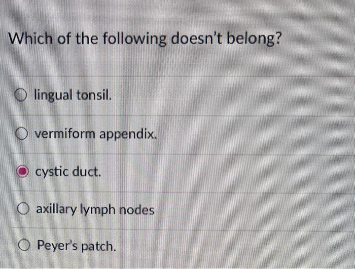 Solved Which of the following doesn't belong? lingual | Chegg.com