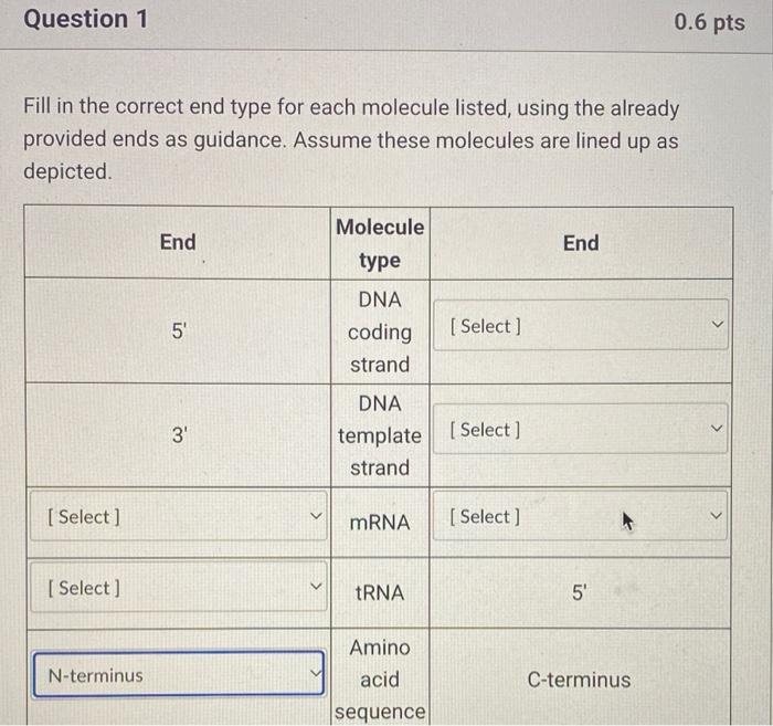 Solved Fill in the correct end type for each molecule | Chegg.com