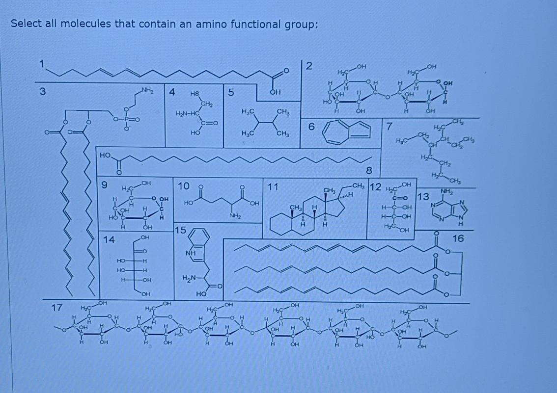 Solved Select all molecules that contain an amino functional | Chegg.com