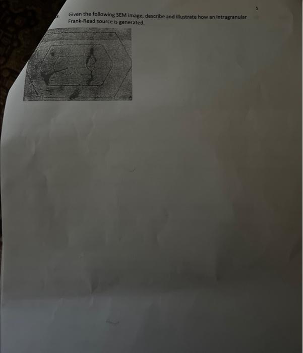 Solved Given the following SEM image, describe and | Chegg.com