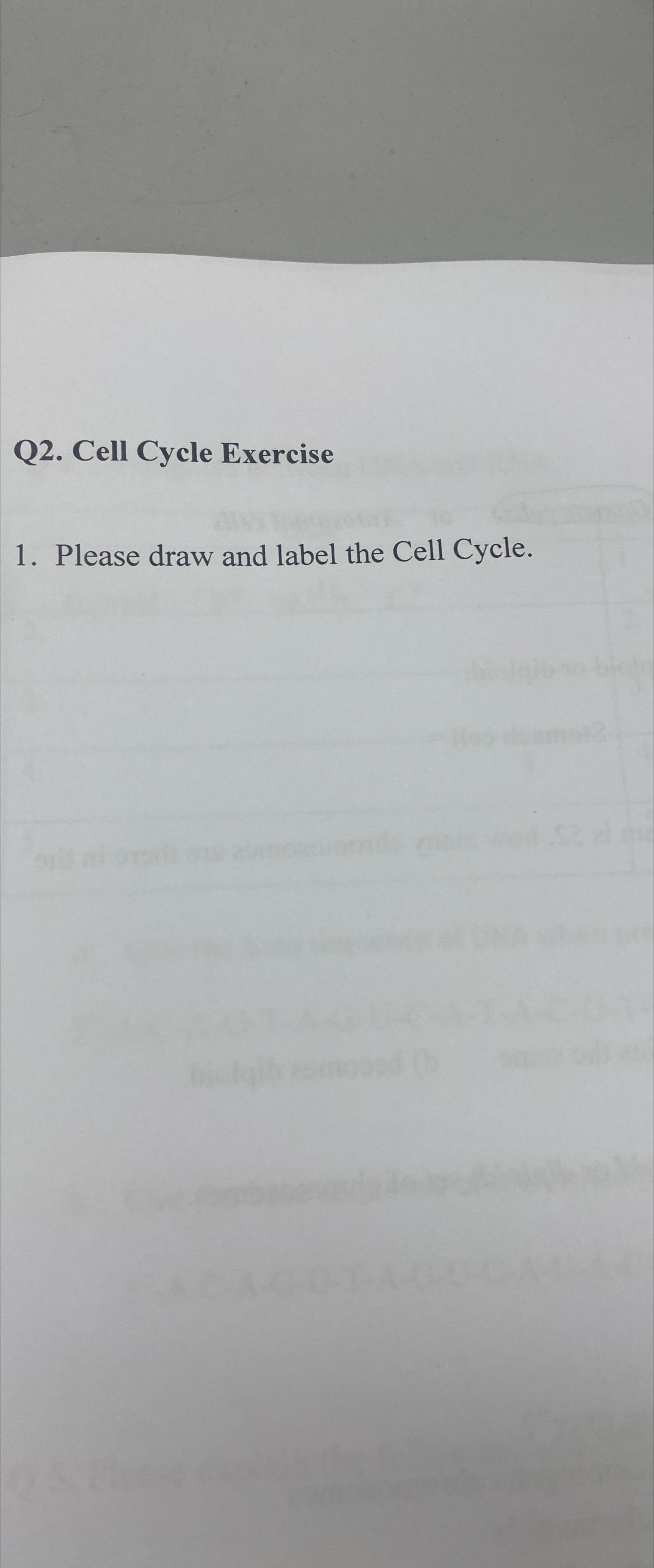 Solved Q2. ﻿Cell Cycle ExercisePlease draw and label the | Chegg.com
