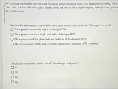 Solved DNA damage checkpoints are crucial for preventing | Chegg.com