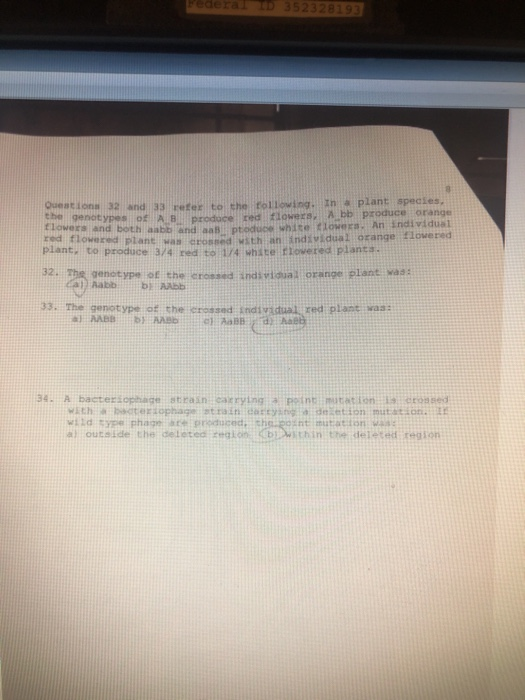 Solved Questions 19-20 refer to the following. Anormal who | Chegg.com