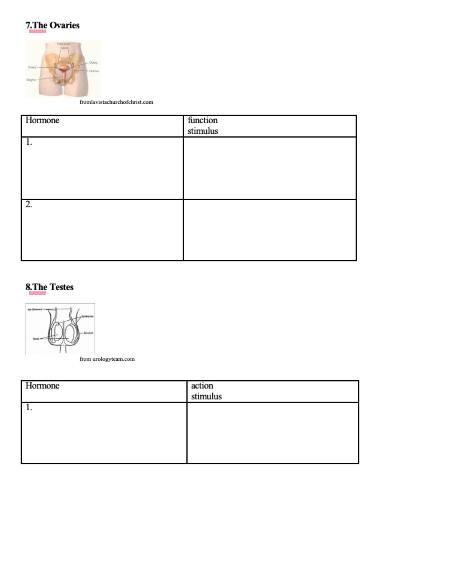 Fill out boxes for the the ovaries and the testes. | Chegg.com