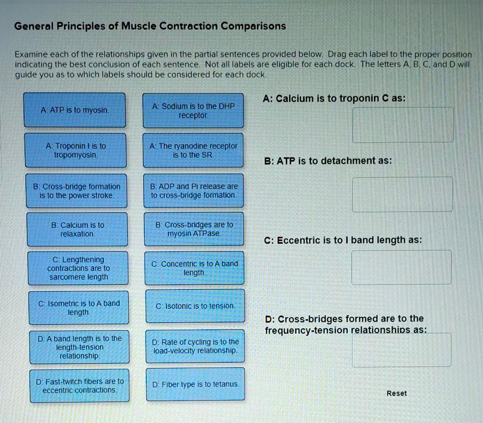 Solved General Principles of Muscle Contraction Comparisons | Chegg.com