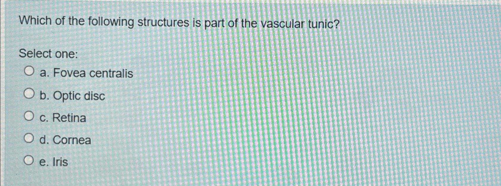 Solved Which of the following structures is part of the | Chegg.com