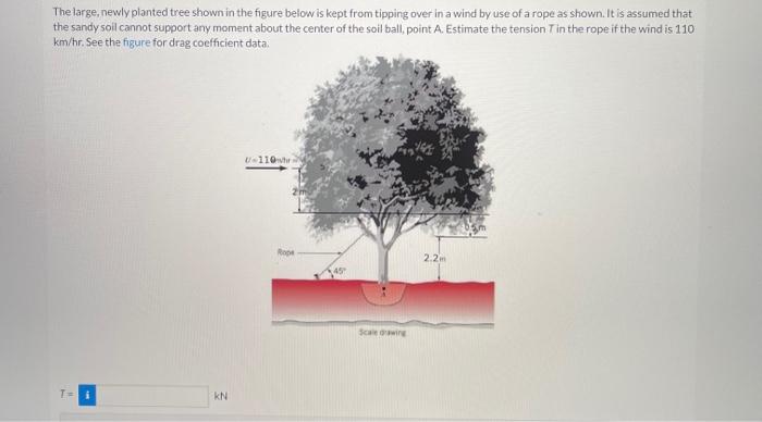 Solved The large, newly planted tree shown in the figure | Chegg.com