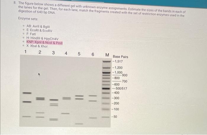 Solved 3. The figure below shows a different gel with | Chegg.com