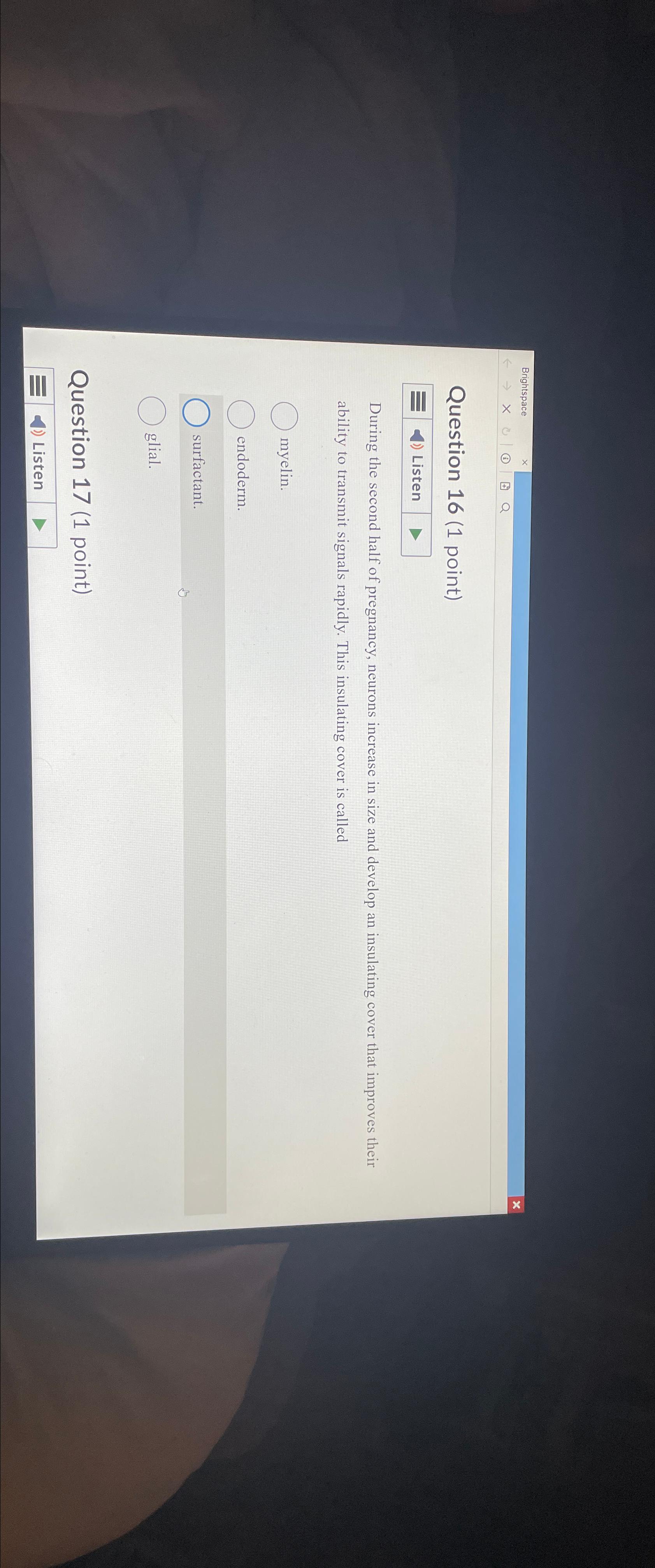 Solved BrightspaceQuestion 16 (1 ﻿point)ListenDuring the | Chegg.com