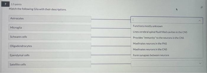 Solved Match the following divisions with the | Chegg.com