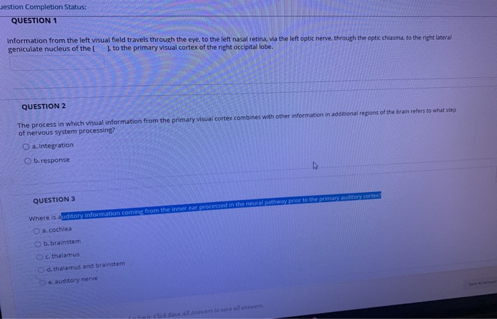 Solved Jestion Completion Status: QUESTION 1 Information | Chegg.com