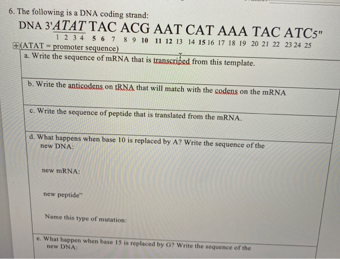 Solved 6. The following is a DNA coding strand: DNA 3'ATAT | Chegg.com