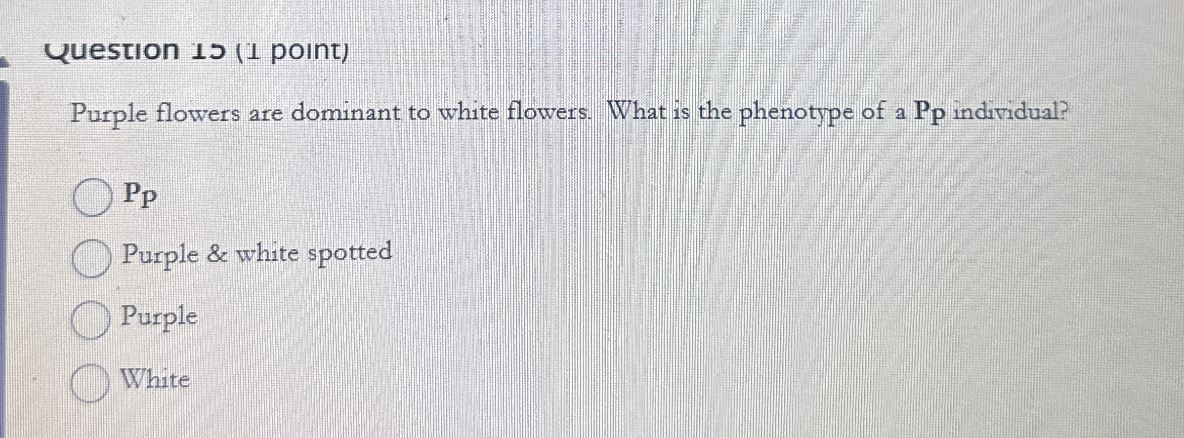 [Solved]: Question 10 (1 point) Purple flowers are dominant