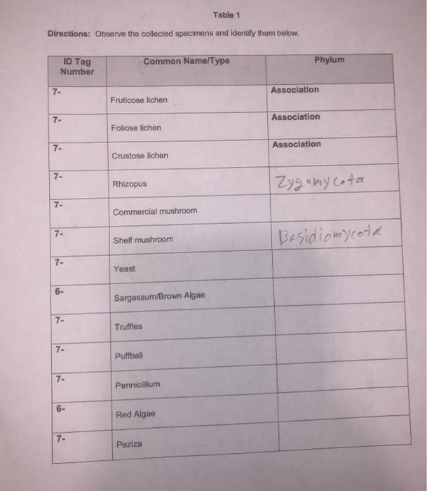 Solved Table 1 Directions: Observe the collected specimens | Chegg.com