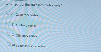 Solved Which part of the brain interprets smells?A) | Chegg.com