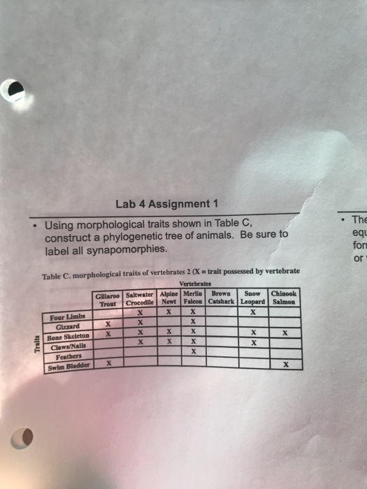 Solved The Lab 4 Assignment 1 Using Morphological Traits