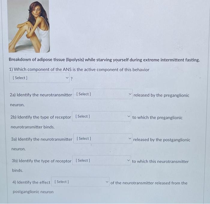 Solved Breakdown of adipose tissue (lipolysis) while | Chegg.com