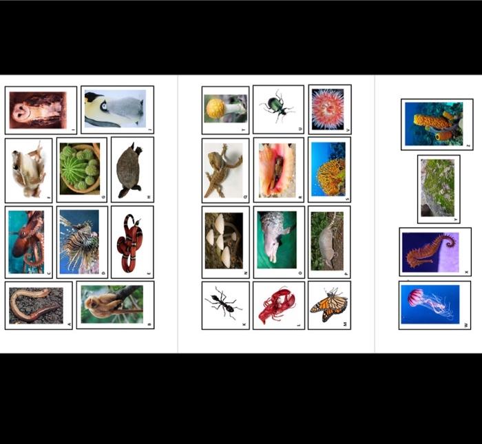 Salect three organiams trom those provided and | Chegg.com