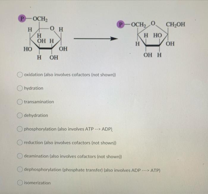 Solved P-OCH2 он H H OHH HO OH H OH P-OCH o CH OH H HO H OH | Chegg.com