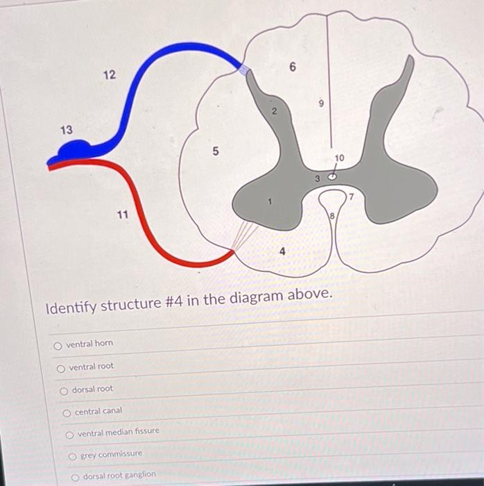 Solved help please answer this fast will thumbs up ! these | Chegg.com Solved help please answer this fast will thumbs up ! these | Chegg.com