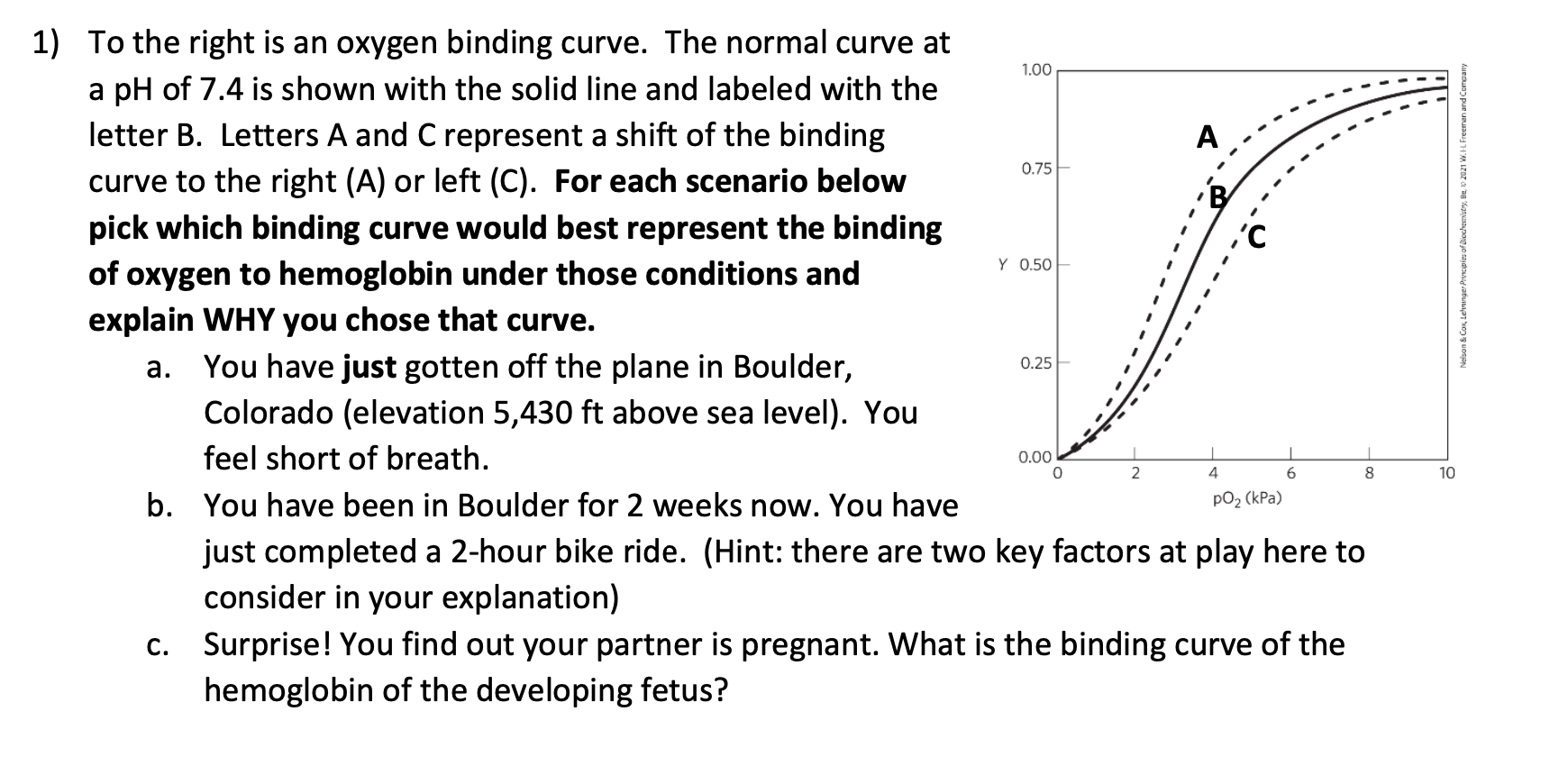 Solved To the right is an oxygen binding curve. The normal | Chegg.com