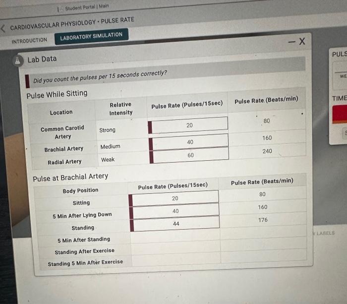 Solved Did You Count The Pulses Per 15 Seconds Correctly 
