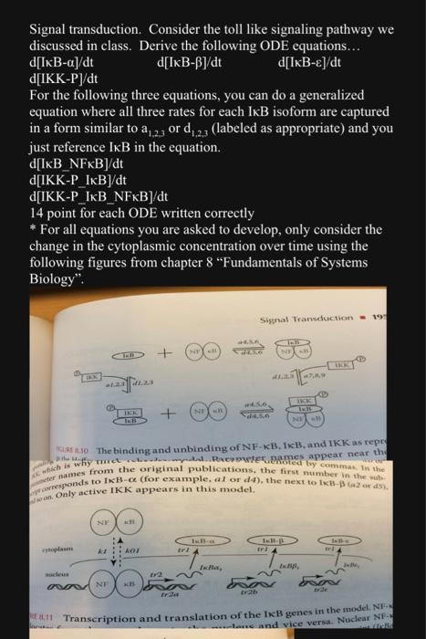Solved Signal transduction. Consider the toll like signaling | Chegg.com