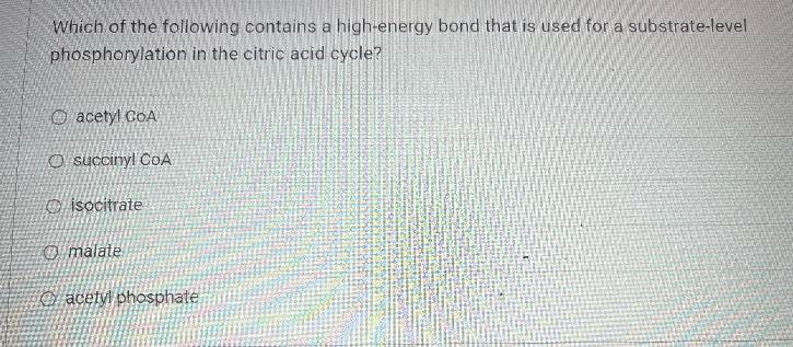 Solved Which of the following contains a high-energy bond | Chegg.com