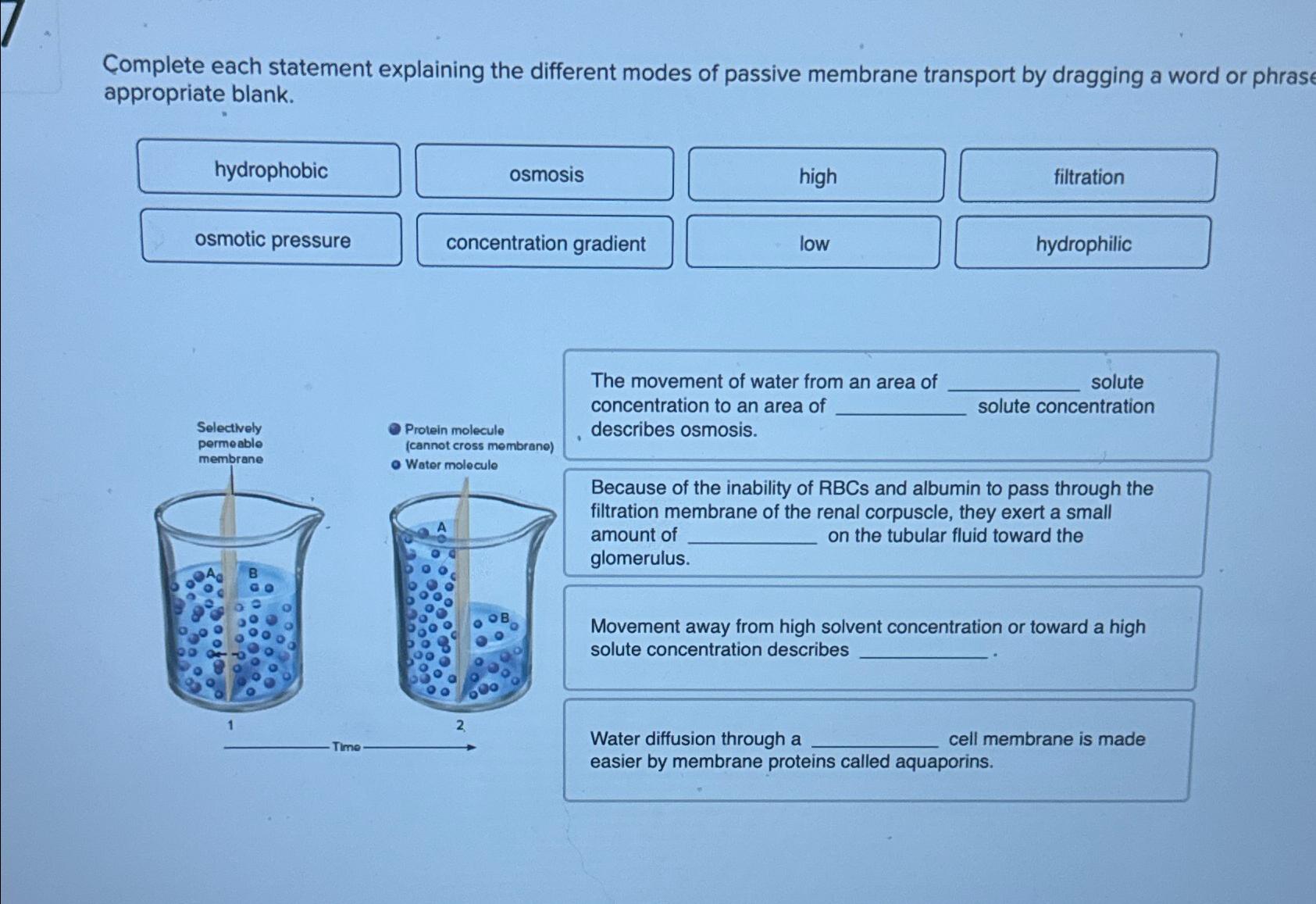 Solved Complete each statement explaining the different | Chegg.com