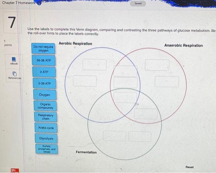 Solved Use the labels to complete this Venn diagram, | Chegg.com